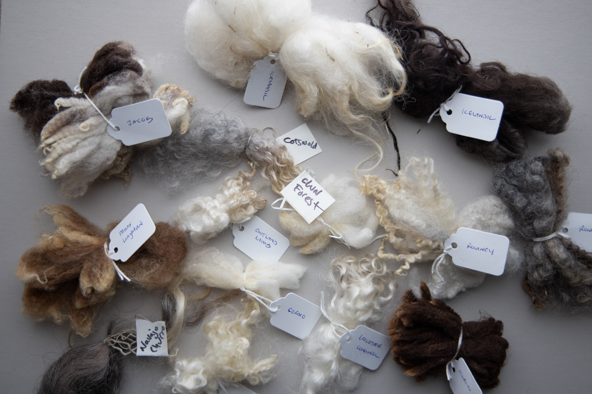 Spinning Sheep Breeds » School of SweetGeorgia